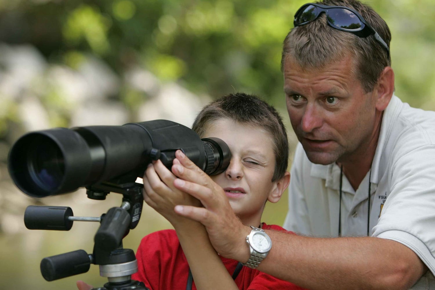 Best Spotting Scope For Birding & Bird Watching (2025 Review)