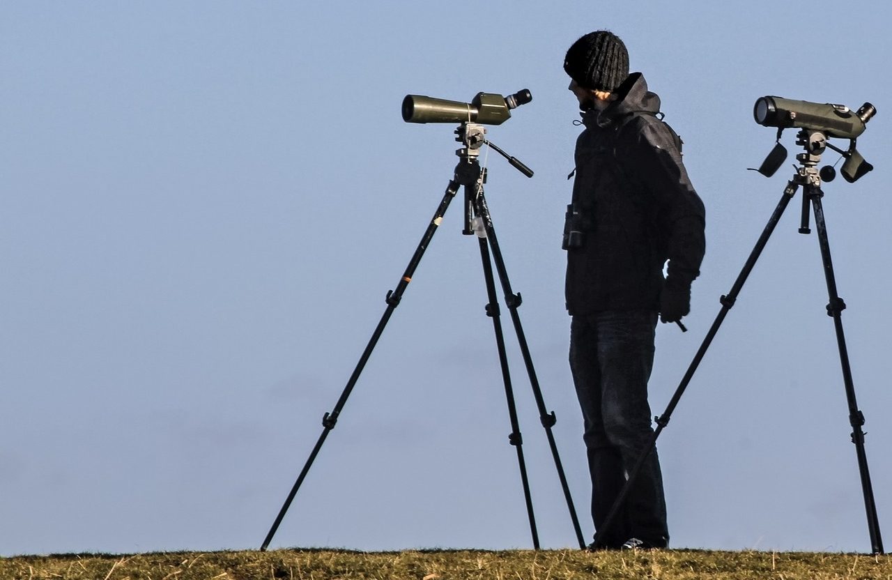 Best Spotting Scope For Birding & Bird Watching (2025 Review)