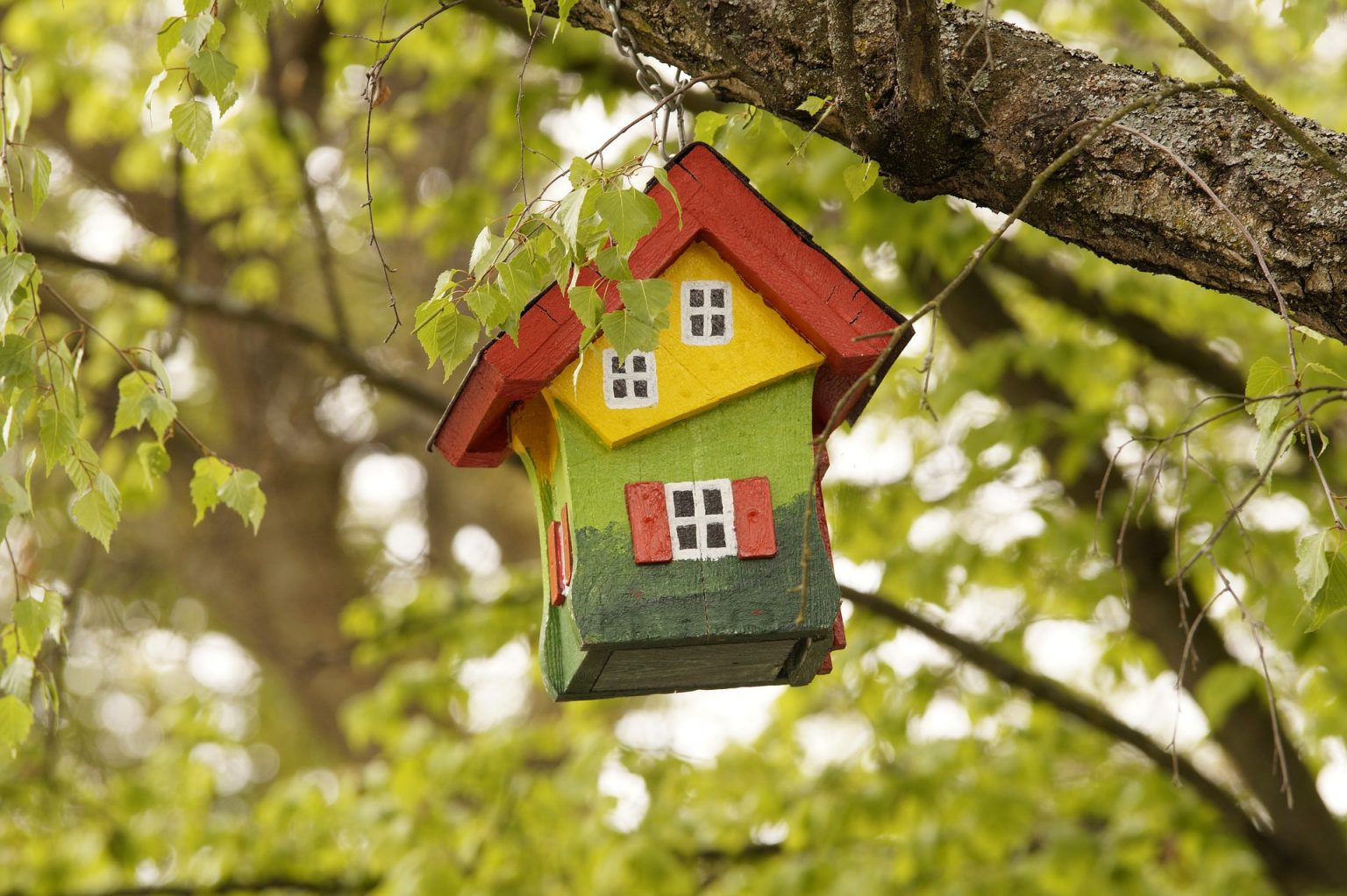 Free Bird House Plans: DIY Guides For Attracting Nesters