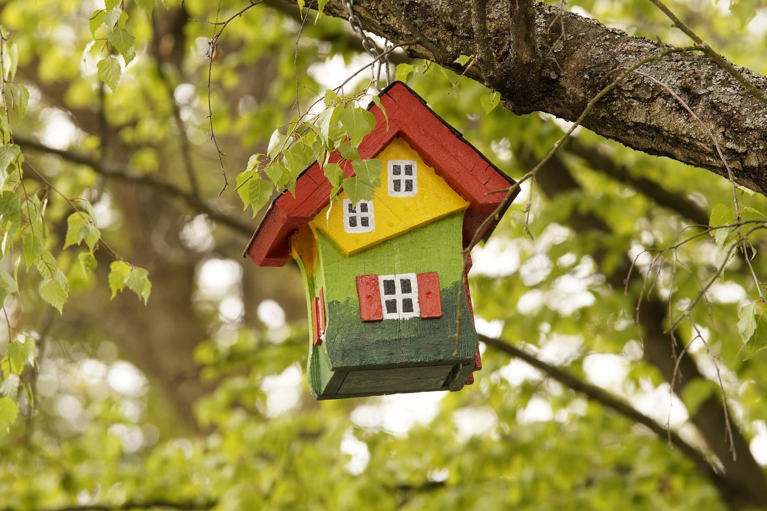 Free Bird House Plans: DIY Guides For Attracting Nesters